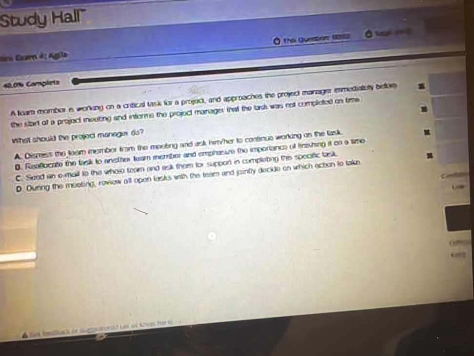 A team member is working on a critical task | StudyX