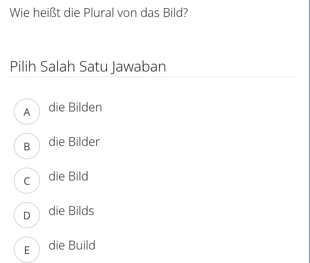 Wie heißt die Plural von das Bild? Pilih | StudyX