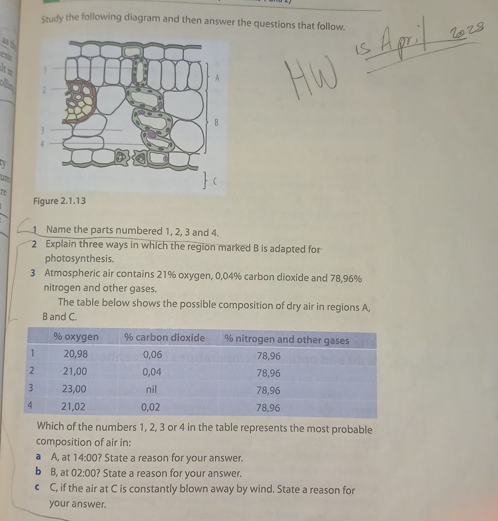 1. Name the parts numbered 1, 2, 3 and 4. | StudyX
