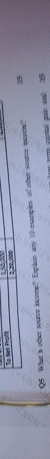 Q5 What is other source income? Explain any | StudyX