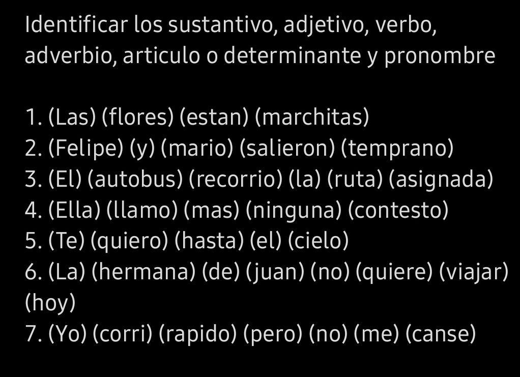 Identificar los sustantivo, adjetivo, verbo, | StudyX