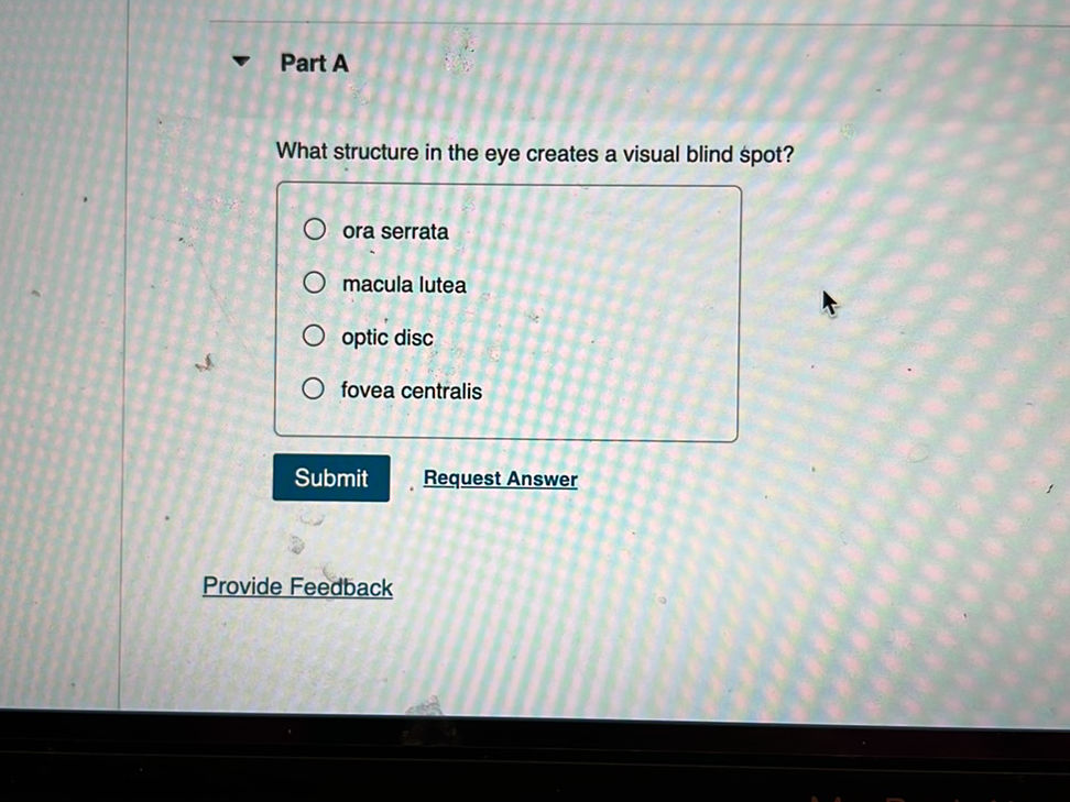 What structure in the eye creates a visual | StudyX