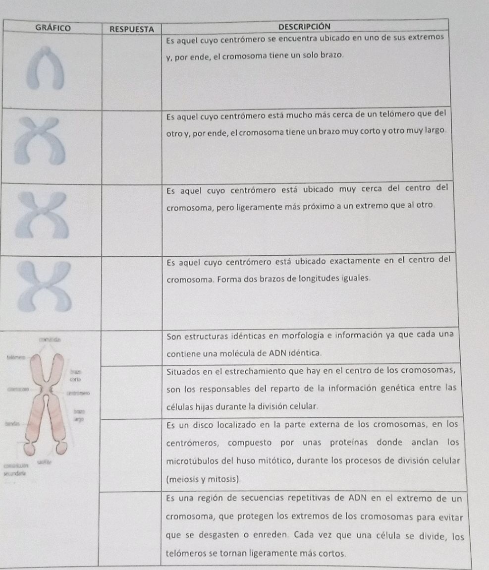 The image presents a table with the | StudyX