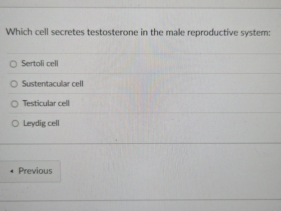 Which cell secretes testosterone in the male | StudyX