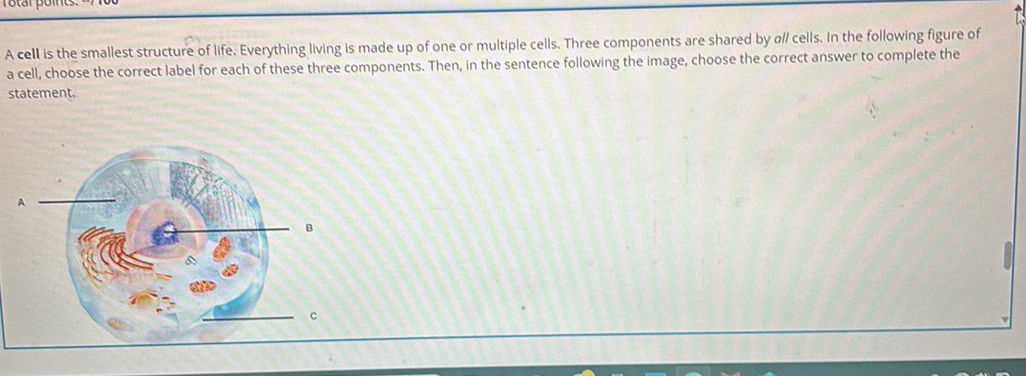 A cell is the smallest structure of life. | StudyX