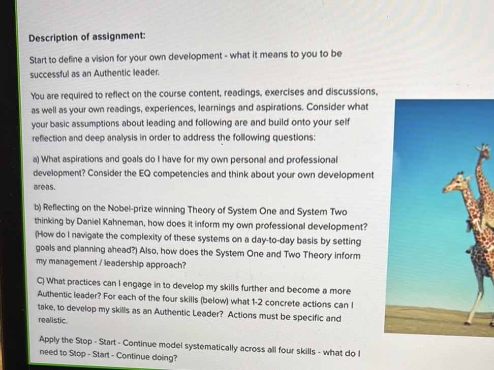 Description of assignment: Start to define | StudyX