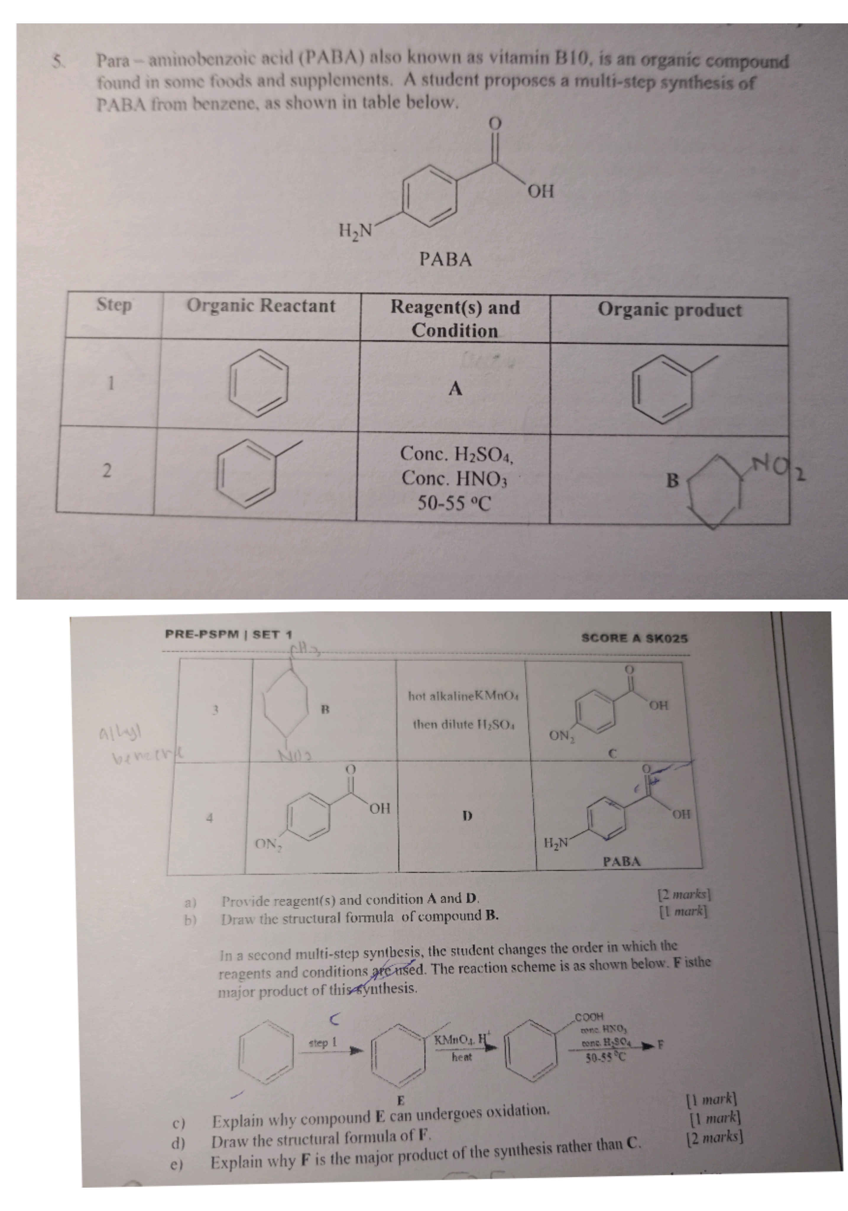 5. Para-aminobenzoic acid (PABA) also known | StudyX