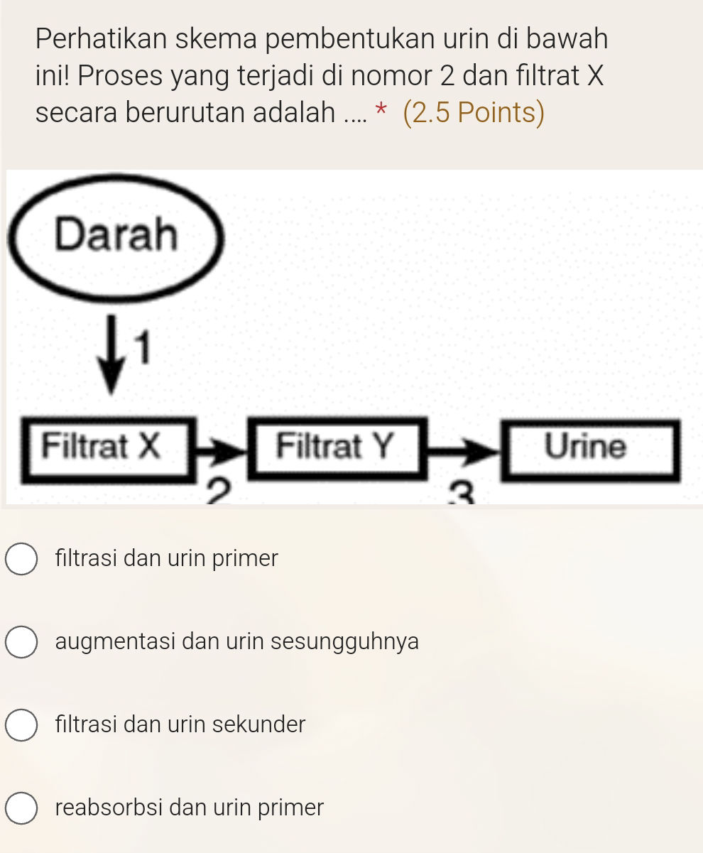 Perhatikan skema pembentukan urin di bawah | StudyX