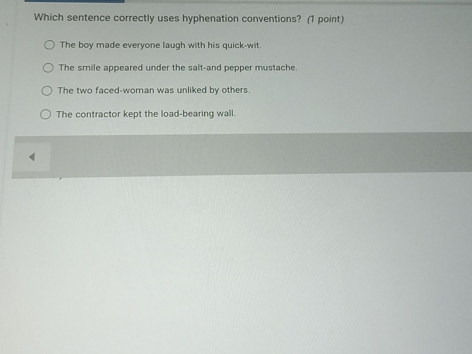 Which sentence correctly uses hyphenation | StudyX