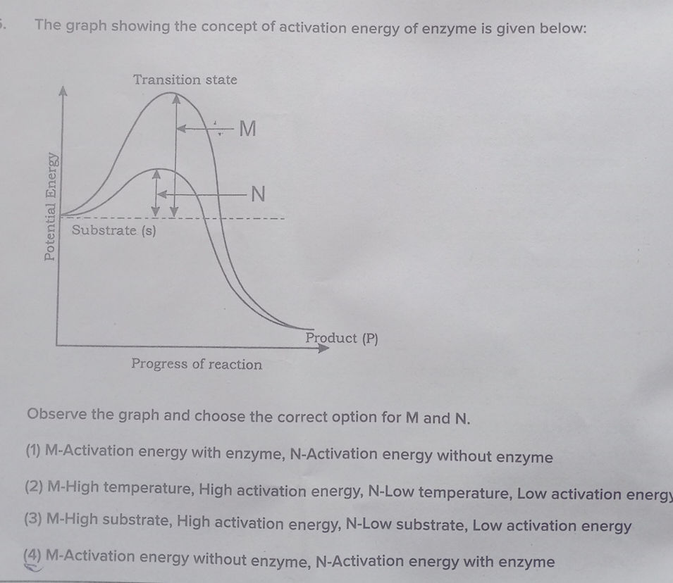 The graph showing the concept of activation | StudyX