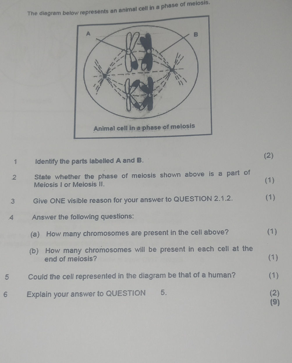 1. Identify the parts labelled A and B. 2. | StudyX
