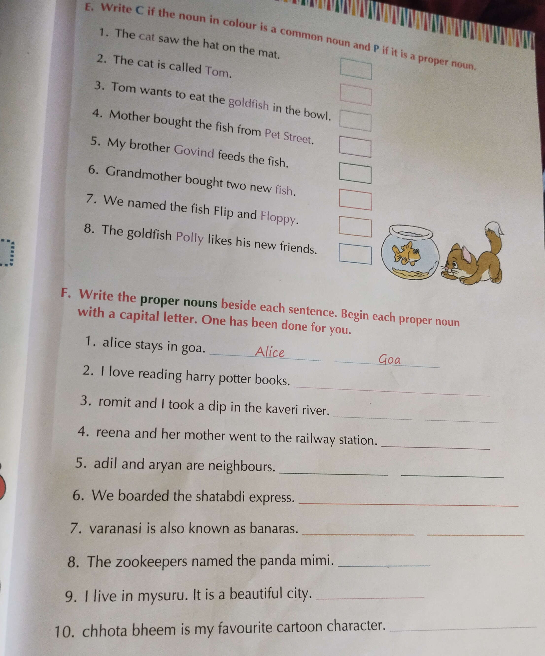 E. Write C if the noun in colour is a common | StudyX