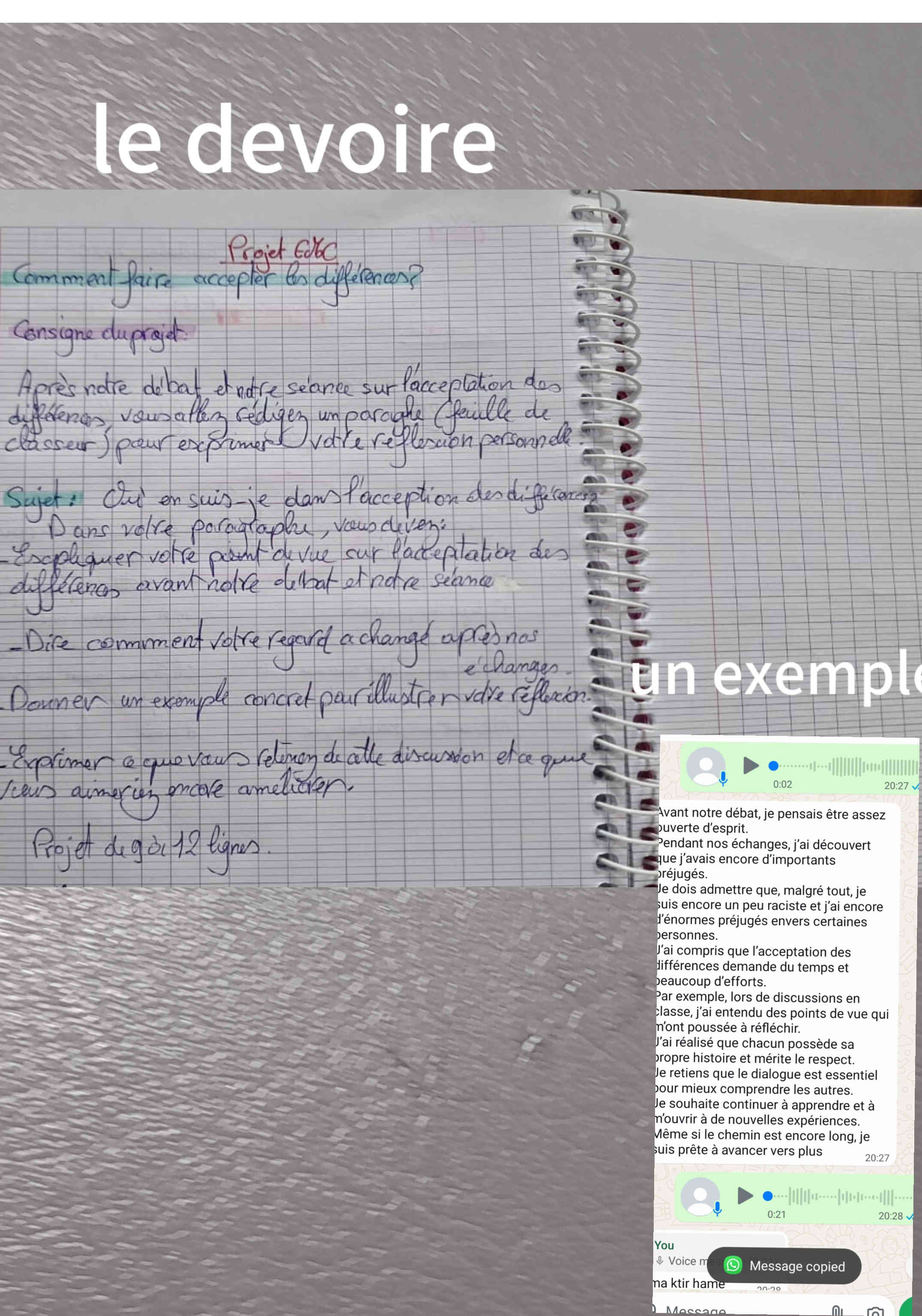 Comment faire accepter les différences? | StudyX