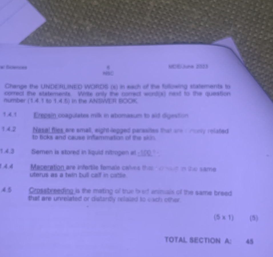 Change the UNDERLINED WORDS (s) in each of | StudyX