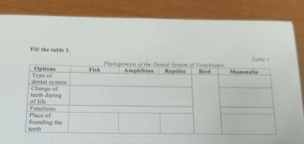 Fill the table 1. | Options | Fish | | StudyX