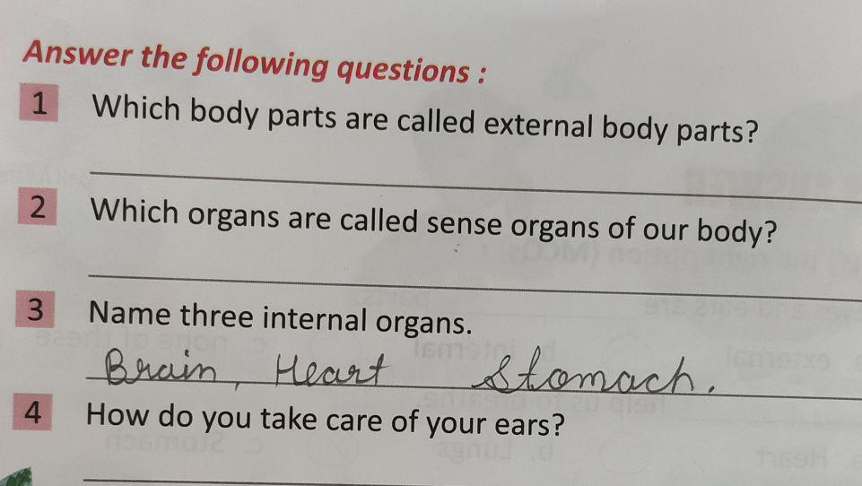1 Which body parts are called external body | StudyX