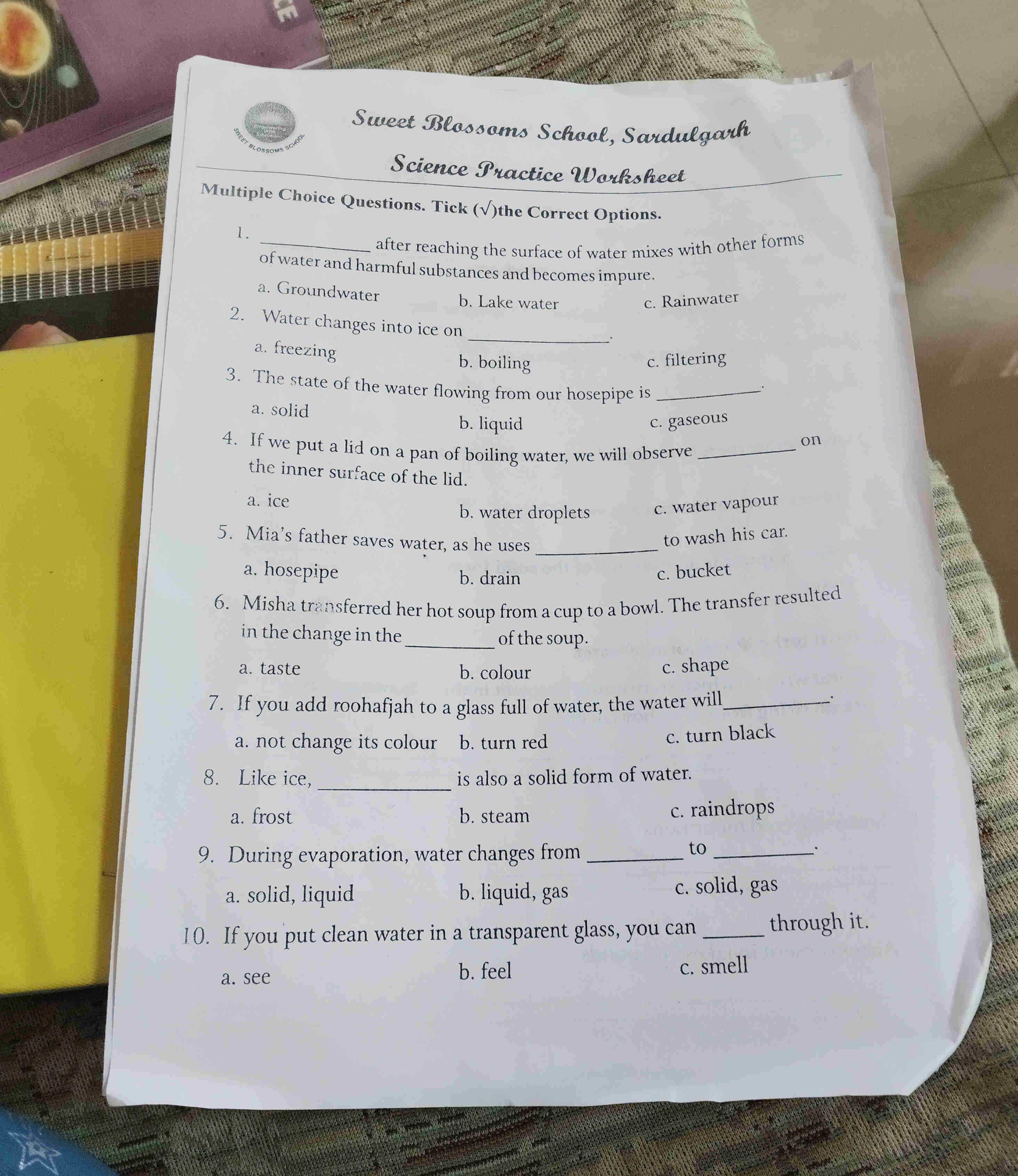Multiple Choice Questions. Tick (√)the | StudyX