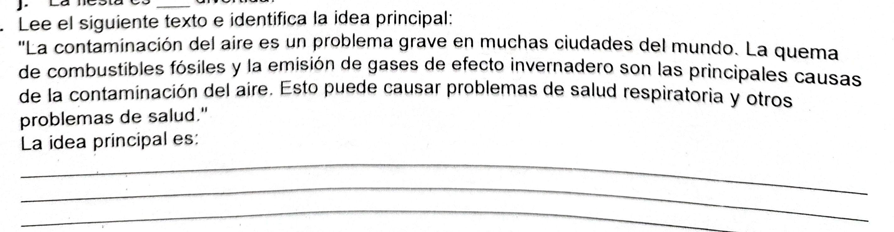 Lee el siguiente texto e identifica la idea | StudyX