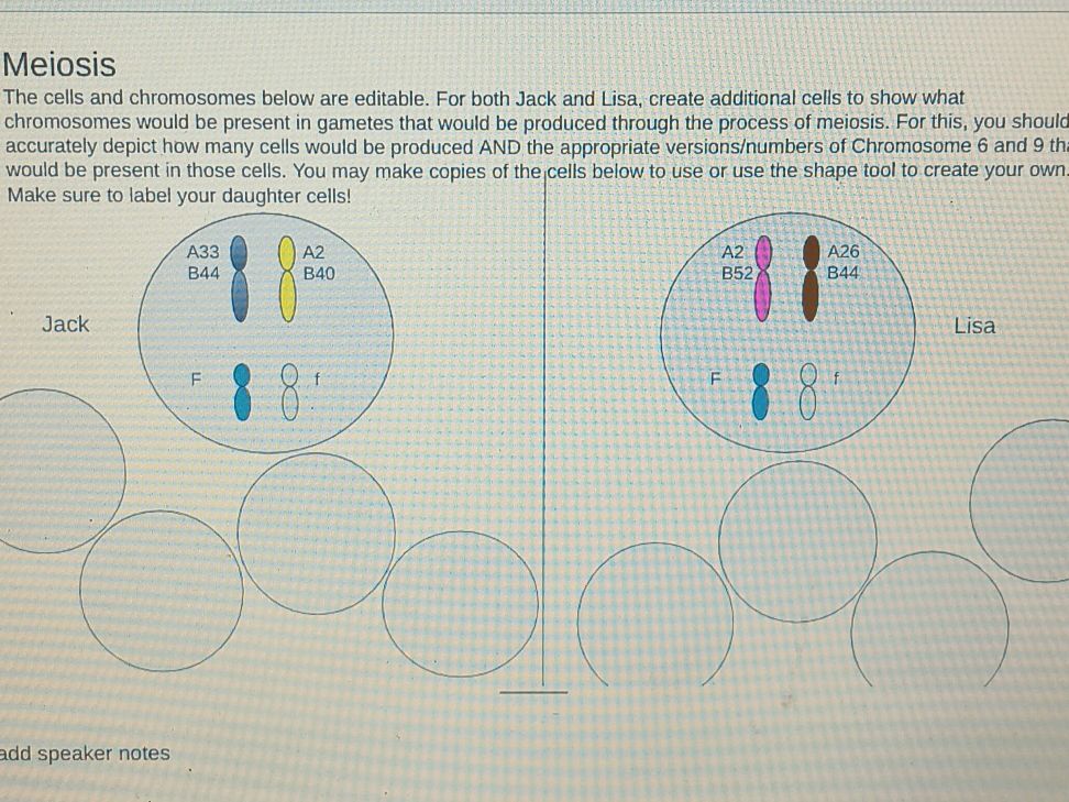 The cells and chromosomes below are | StudyX