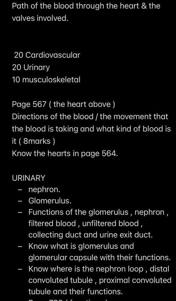 Path of the blood through the heart the | StudyX