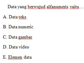 Data yang berwujud alfanumeris yaitu... A. | StudyX