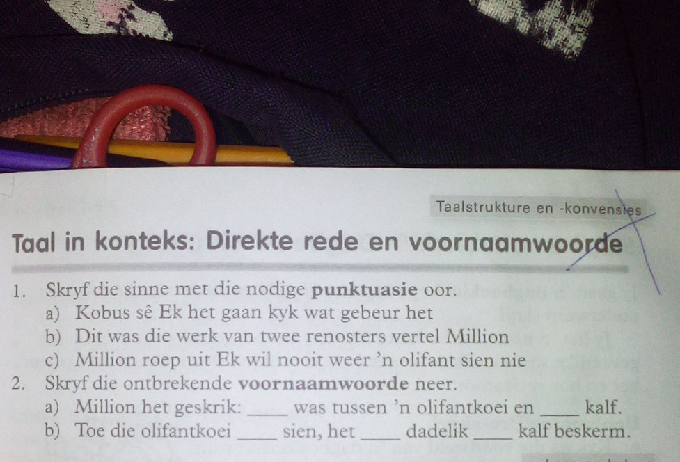 Taal in konteks: Direkte rede en | StudyX