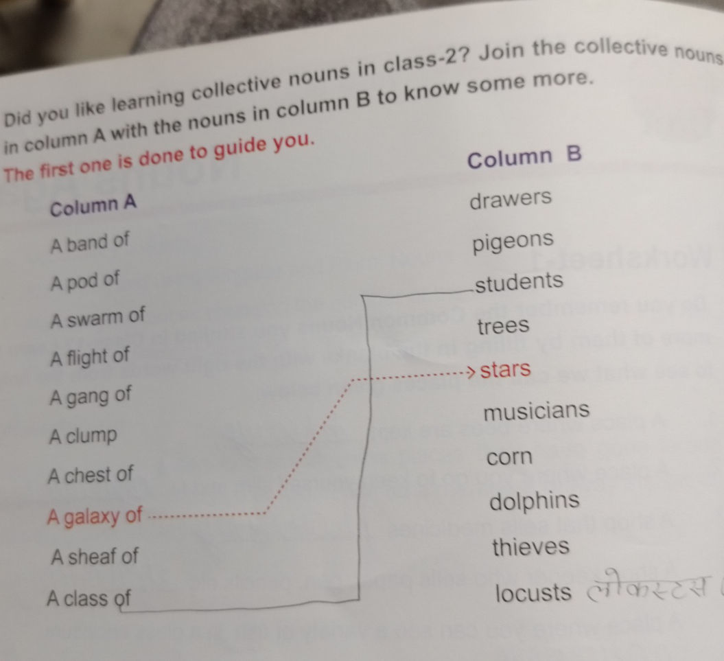 Match the collective nouns in Column A with | StudyX
