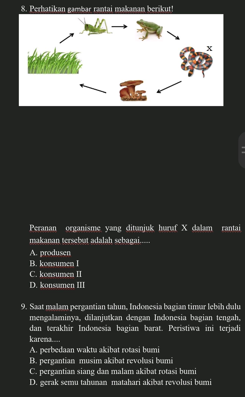 8. Perhatikan gambar rantai makanan berikut! | StudyX