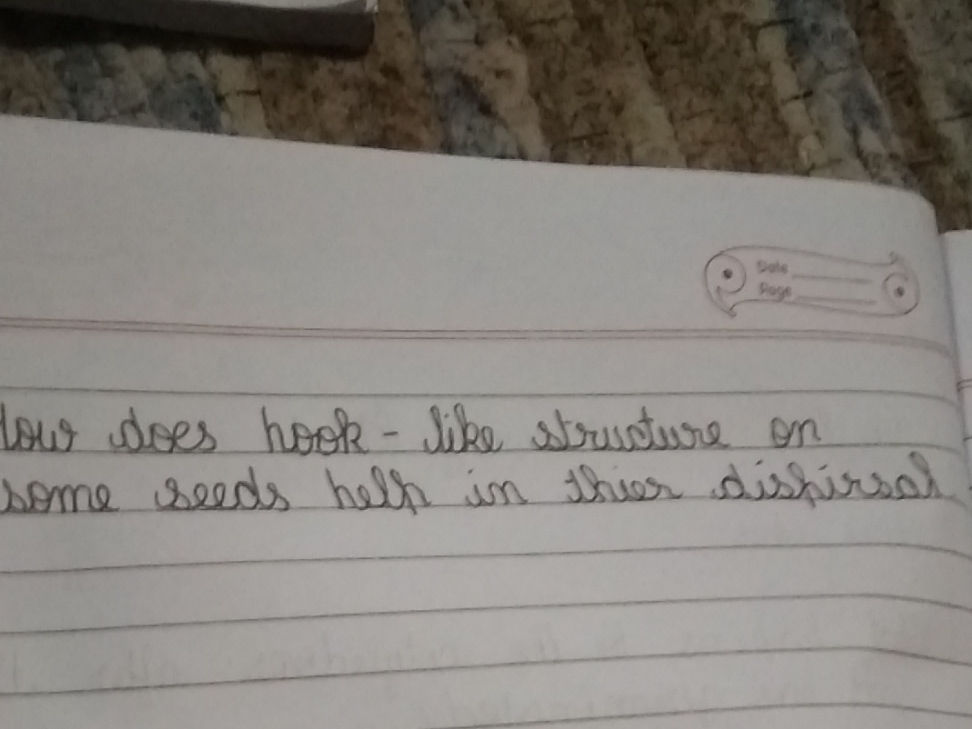 How does hook - like structure on some seeds | StudyX