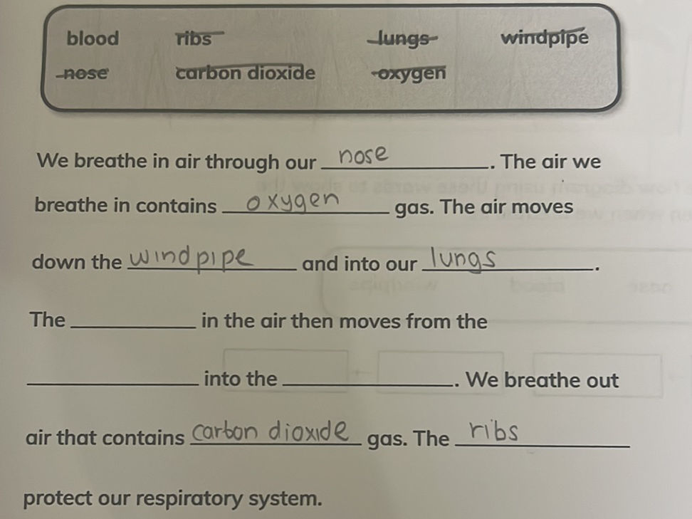 We breathe in air through our ____ nose | StudyX