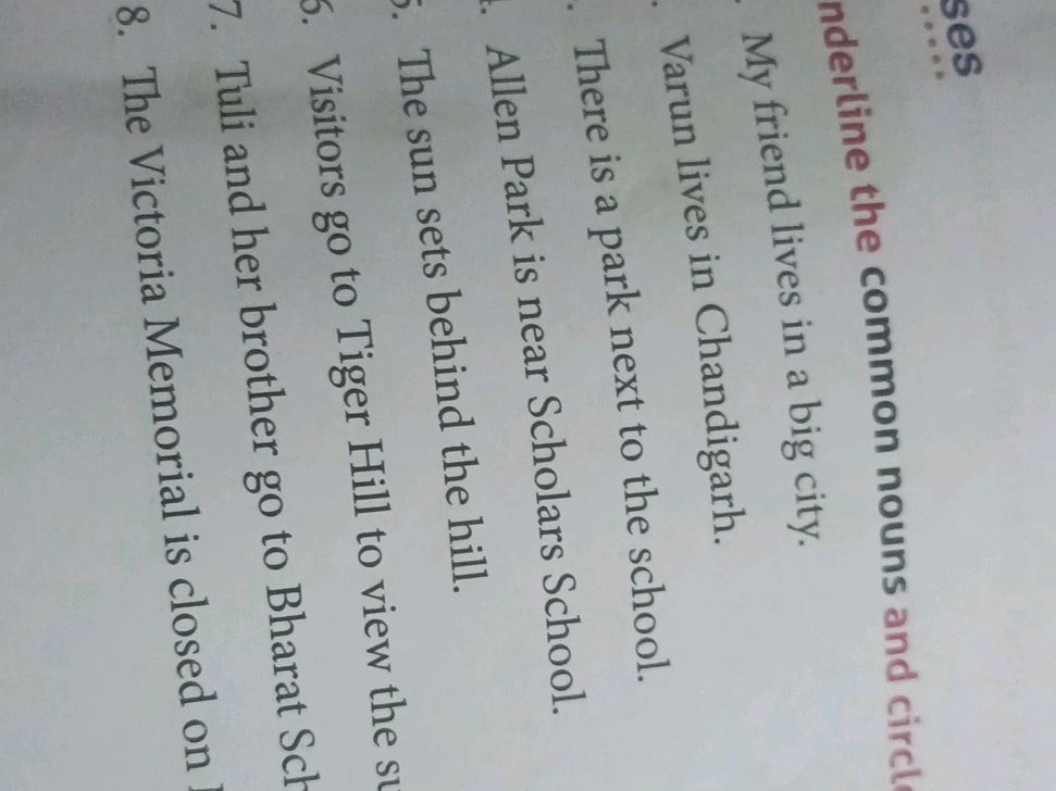 Underline the common nouns and circle: My | StudyX