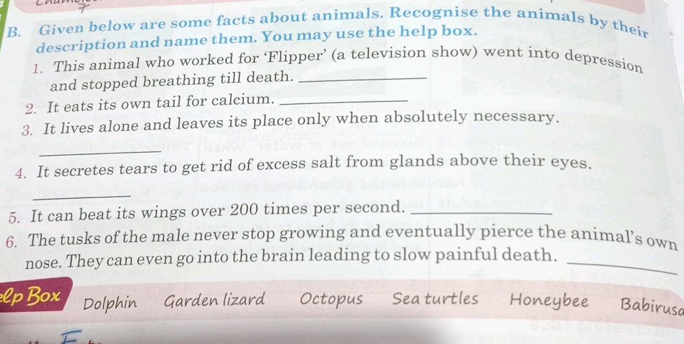 B. Given below are some facts about animals. | StudyX