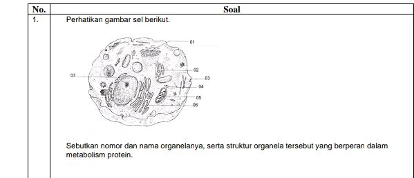 Perhatikan gambar sel berikut. Sebutkan | StudyX