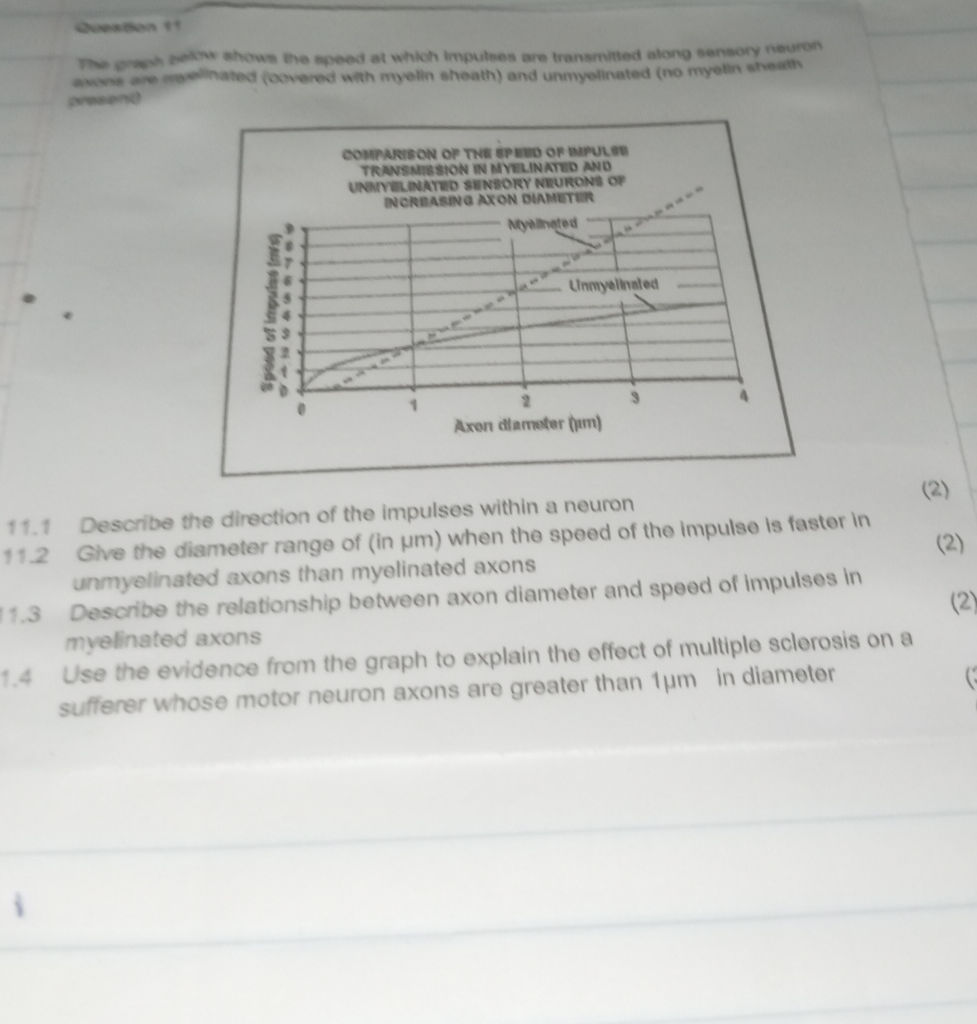 11.1 Describe the direction of the impulses | StudyX