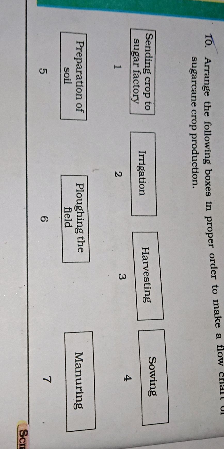 10. Arrange the following boxes in proper | StudyX