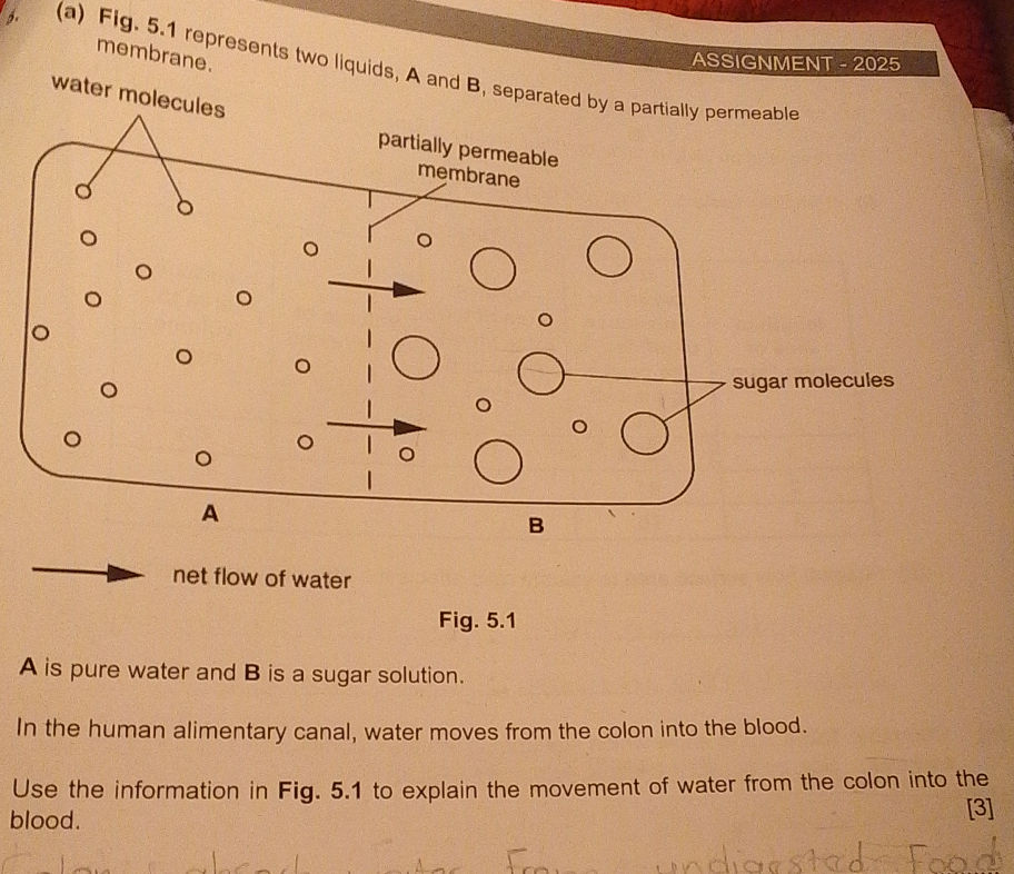 (a) Fig. 5.1 represents two liquids, A and | StudyX