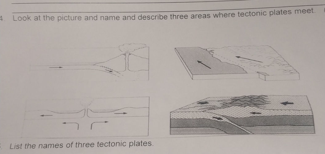 Look at the picture and name and describe