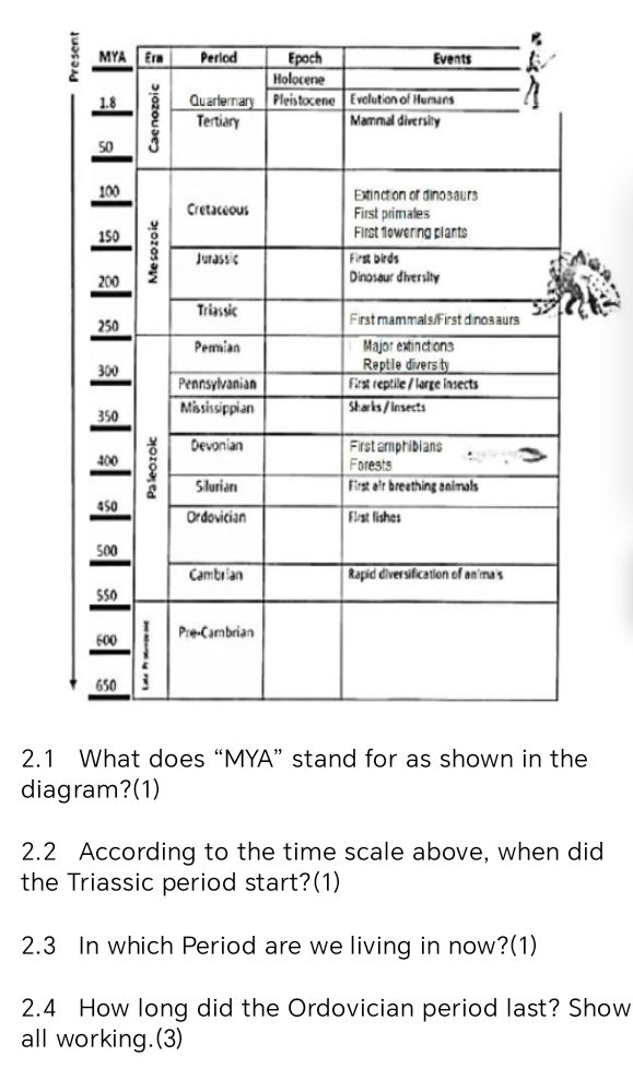 MYA | Era | Period | | StudyX