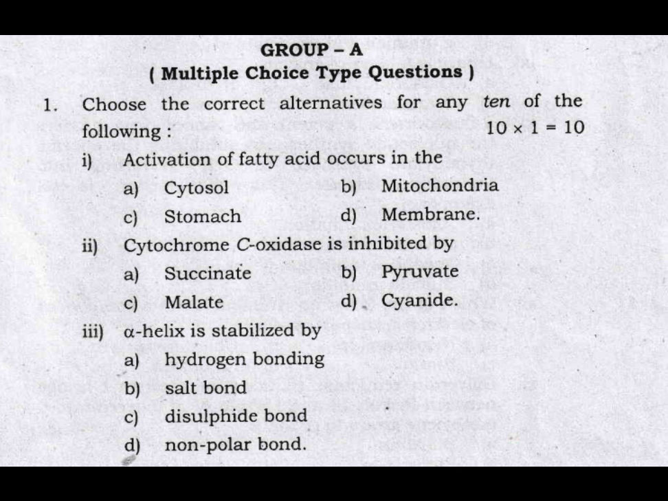 1. Choose the correct alternatives for any | StudyX