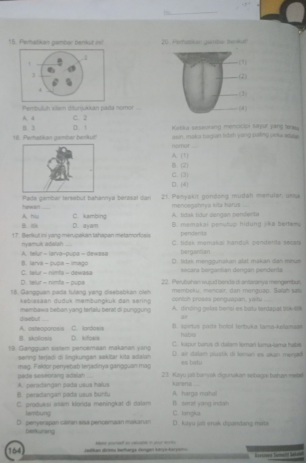 15. Perhatikan gambar berikut ini! ``` | StudyX