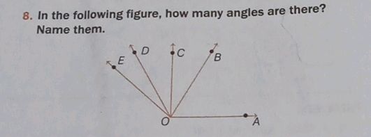 8. In the following figure, how many angles | StudyX