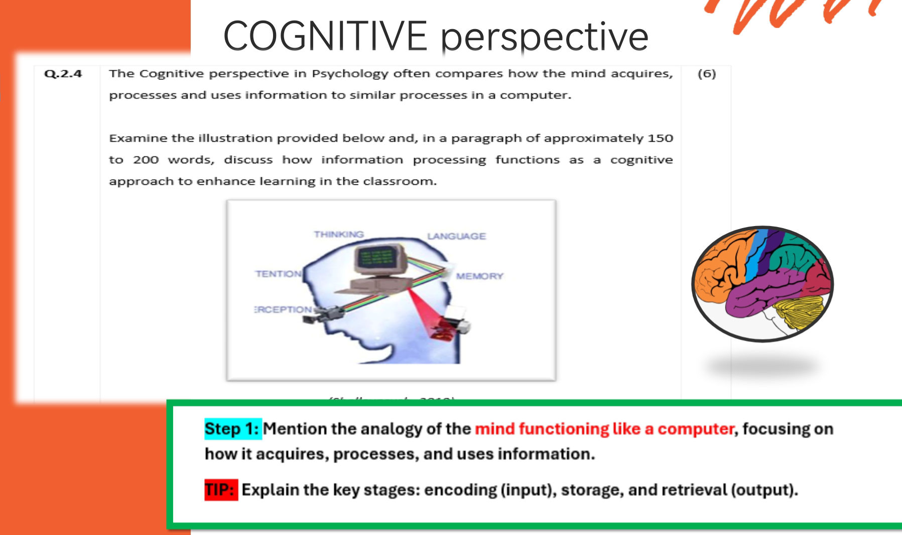 Q.2.4 The Cognitive perspective in | StudyX