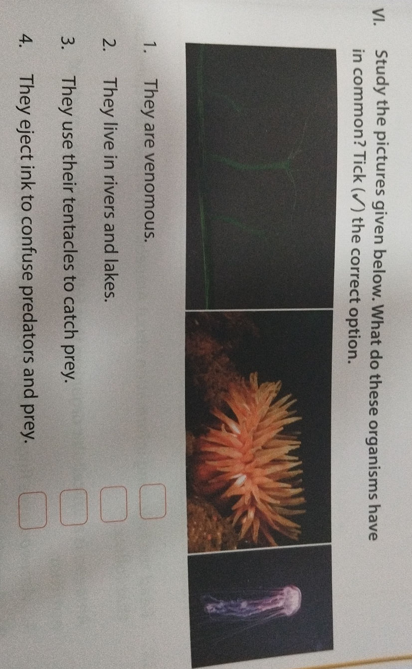 VI. Study the pictures given below. What do | StudyX