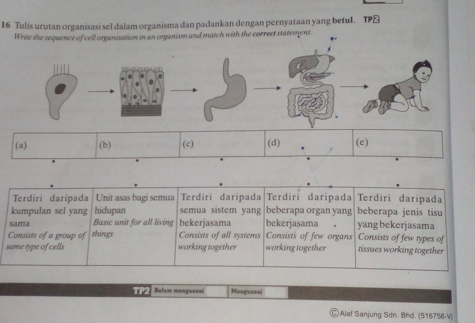 16 Tulis urutan organisasi sel dalam | StudyX