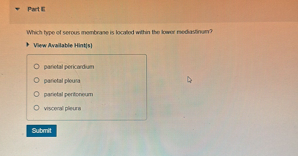 Which type of serous membrane is located | StudyX