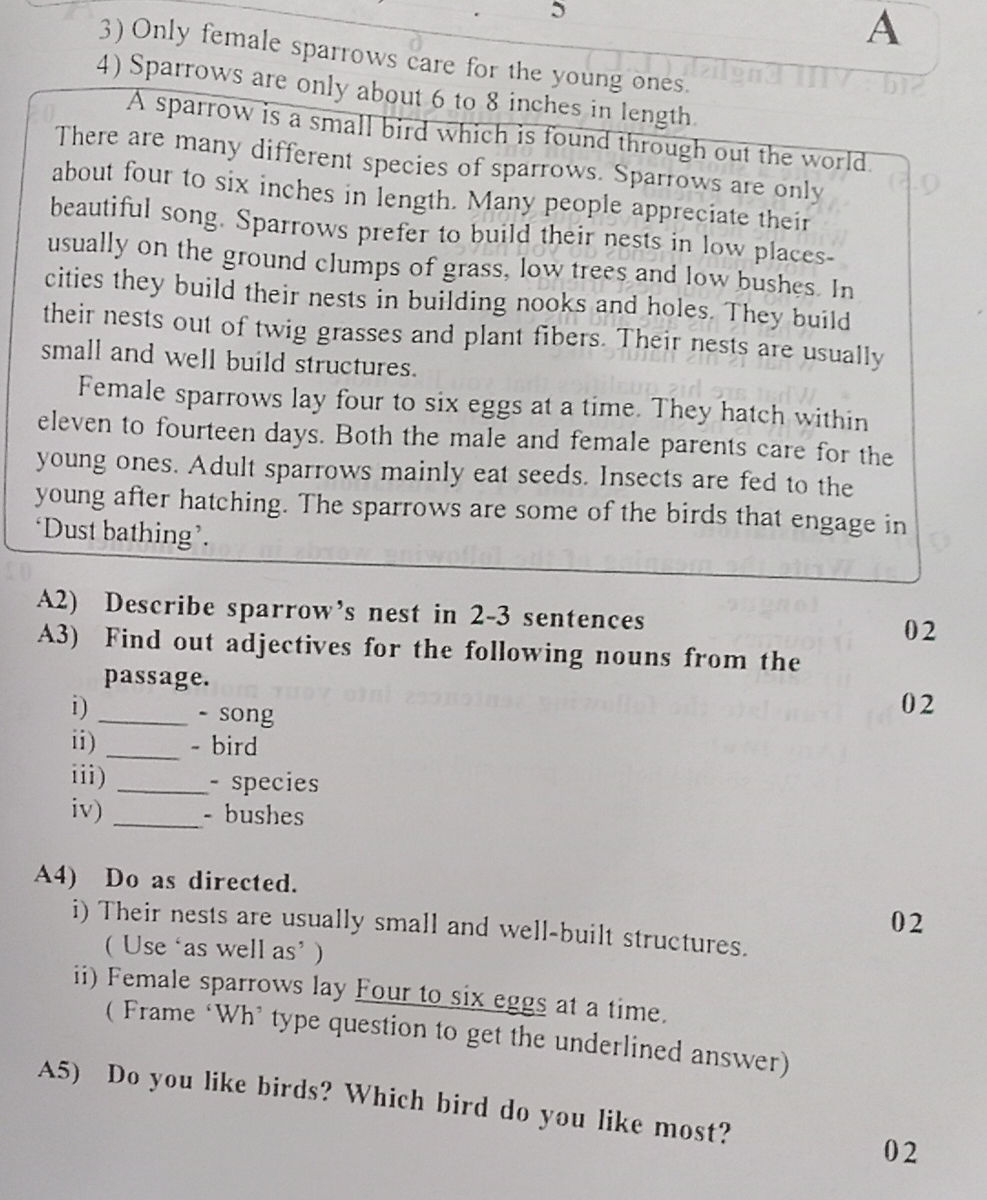 A2) Describe sparrow's nest in 2-3 sentences | StudyX