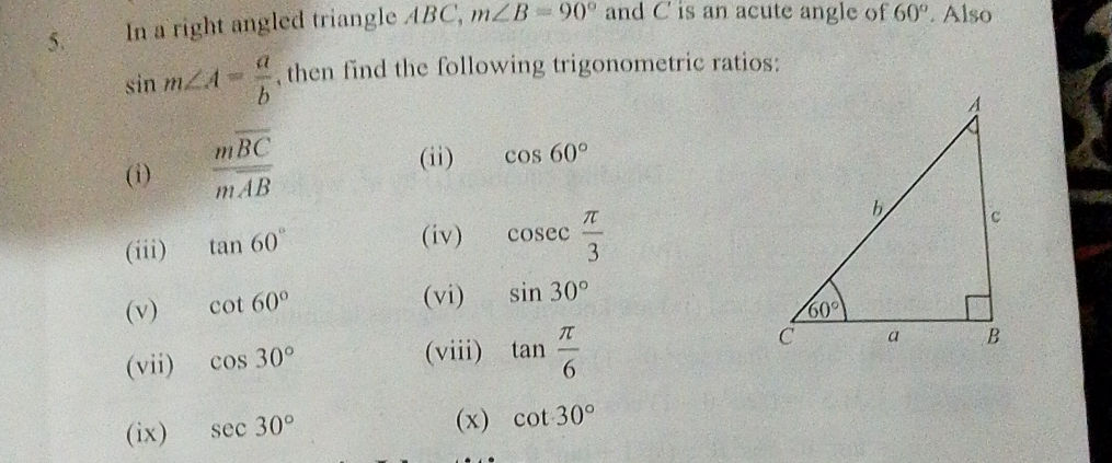 In a right angled triangle ABC, $m B = 90^ | StudyX
