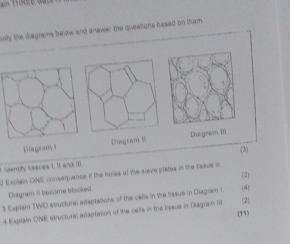 Study the diagrams below and answer the | StudyX
