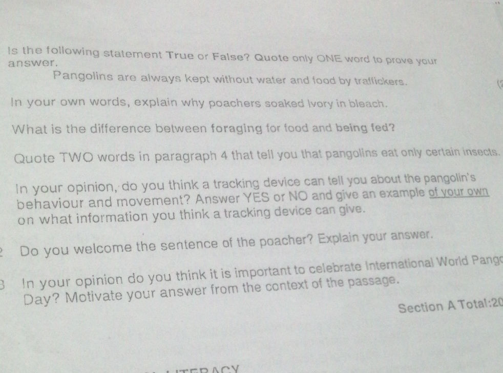 Is the following statement True or False? | StudyX