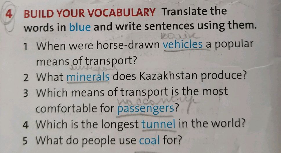 4 BUILD YOUR VOCABULARY Translate the words | StudyX